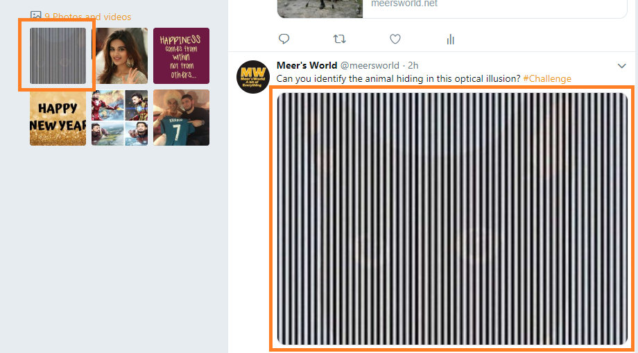 How To Spot Hidden Object From Optical Illusion Picture - Meer's World