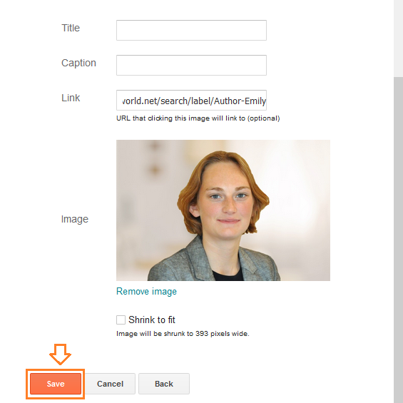 How To Filter Blogger Posts By Authors | List Of Authors Widget - Meer ...