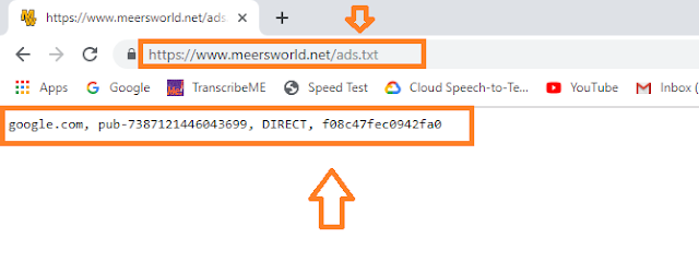 How To Set Up Custom Ads txt in Blogger | Get AdSense Pub ID - Meer's World