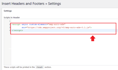 How To Show Google Ads On AMP Pages | For Beginners - Meer's World