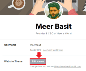 How To Change Your Default Tumblr Theme - Meer's World