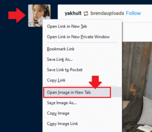 How To View Full Size Tumblr Profile Picture | DP | Avatar