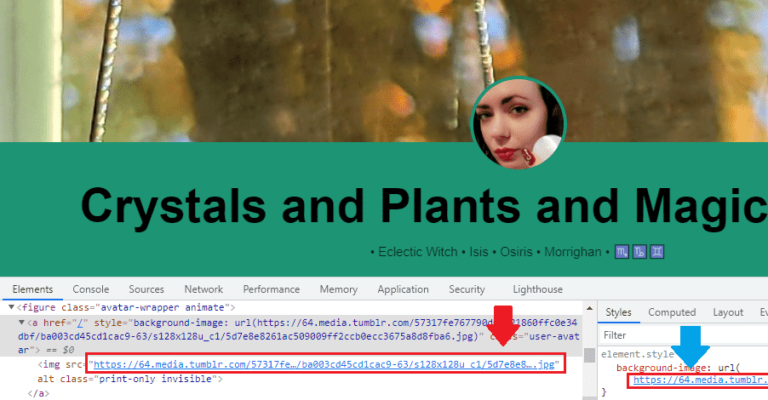 How To View Full Size Tumblr Profile Picture | DP | Avatar